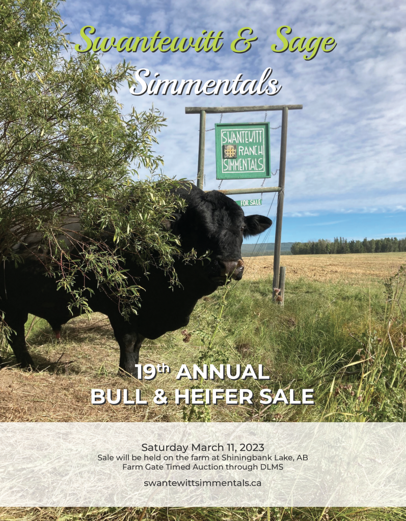 2023 Catalog | Swantewitt & Sage Simmentals
